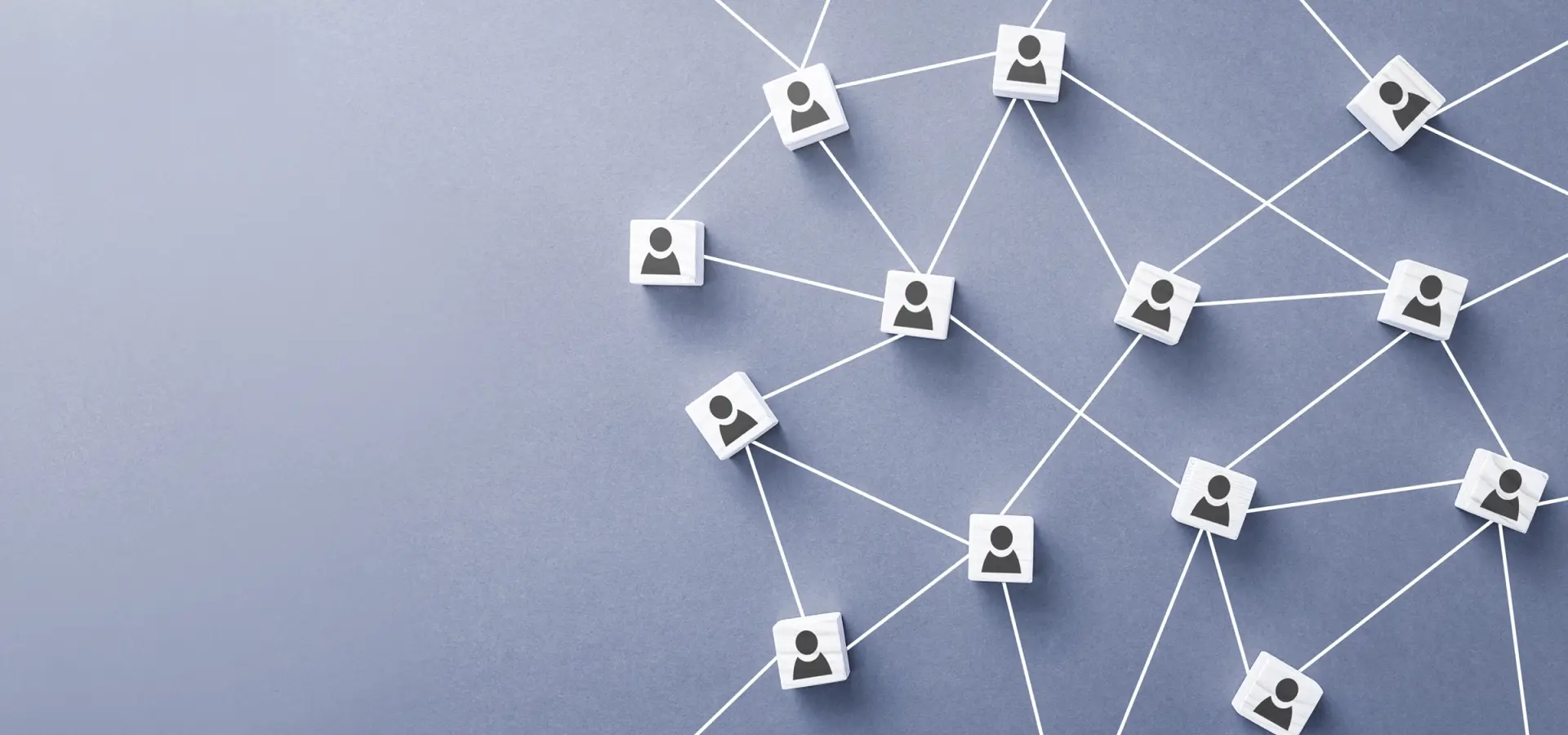 Contact - Get in Touch With Us